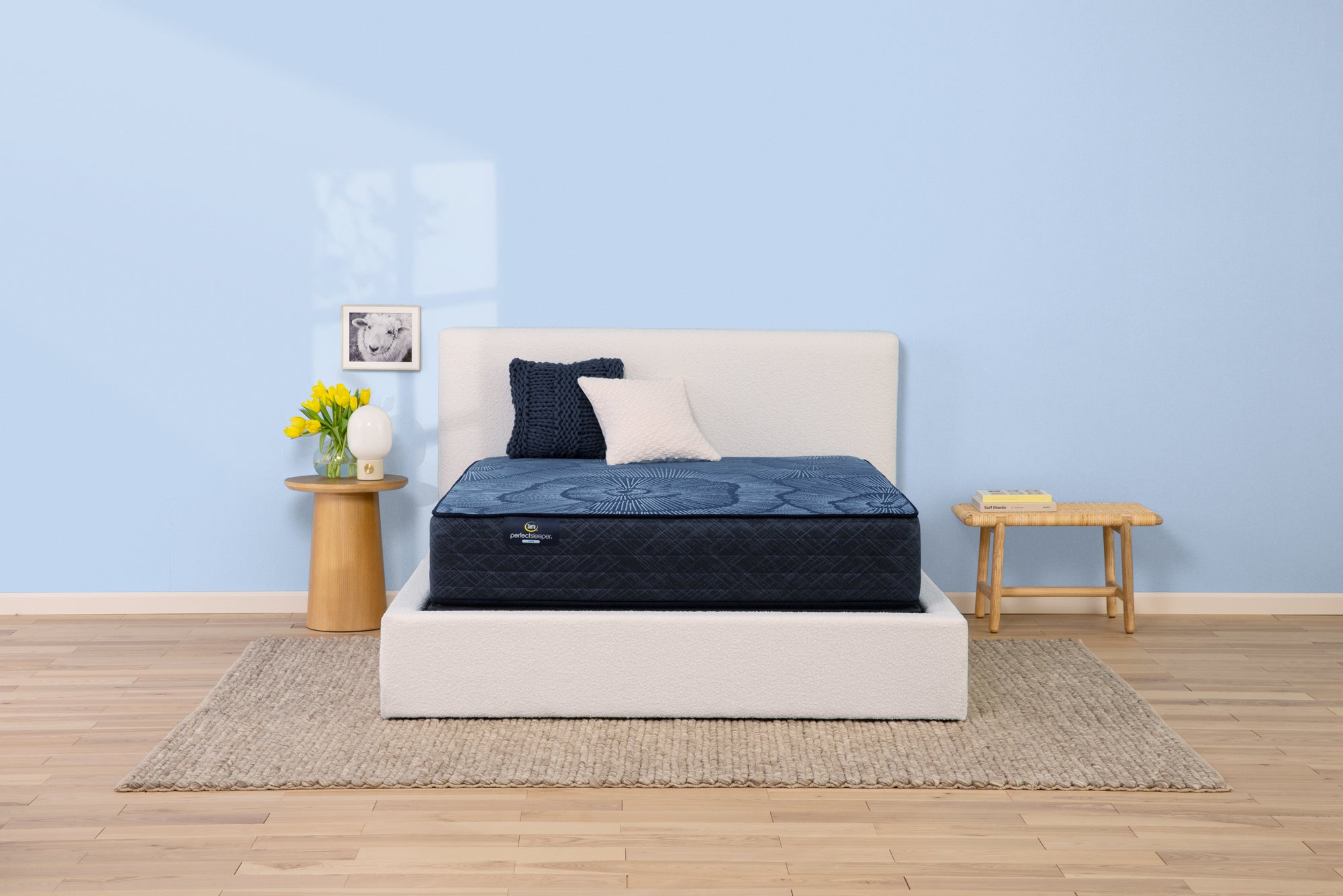 Delani Dreams Firm Perfect Sleeper Mattress - Furniture Fair